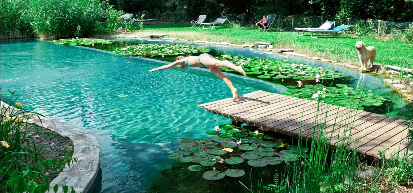 Natural Swimming Pools — Creative Living