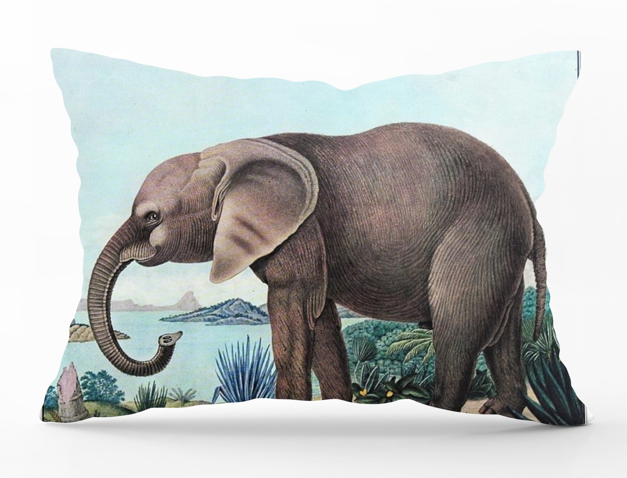 Animals Maison Dreams Art Cushion Collection | Stylish Home Décor ...